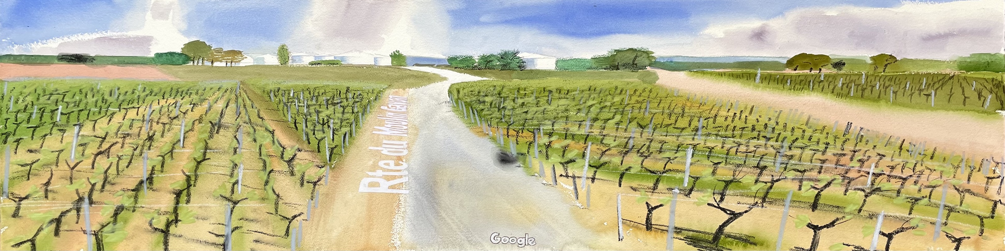 Iragui gallery